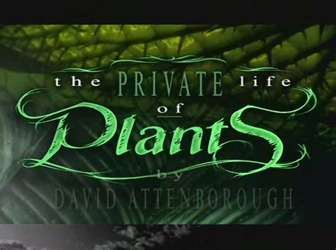 Bbc The Private Life Of Plants 식물의 사생활