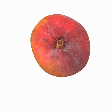 망고 이국적인 과일 레스토랑 행사 축하 식사 저녁 뷔페 카페테리아 축제 호텔 잔치 2 2 3d 모델 19 3ds