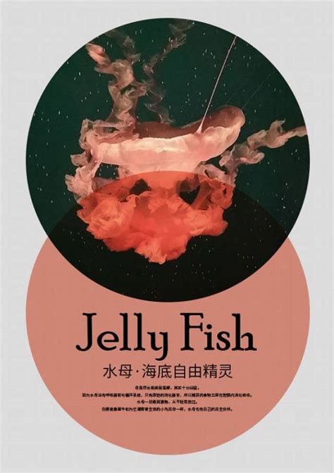并置型版式设计 分割型版式 并置型海报 大山谷图库