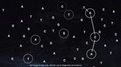 Ribosomal Rna Rrna Depletion Kit Revvity Revvity