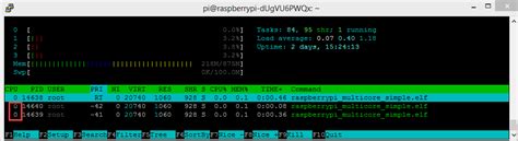 Raspberry Pi Resource Monitor App