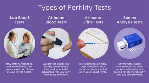 What Fertility Test Is The Best For You Proov