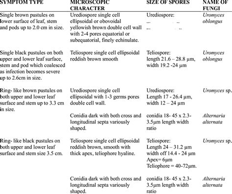 Morphological Characters Of Rust Spores On P Sativum Download Scientific Diagram