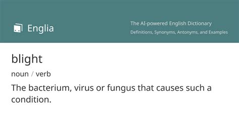 Blight Definition And Meaning Englia