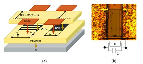 Carbon Nanotube Sensors A Magnified View Of The Temperature Moisture Download Scientific