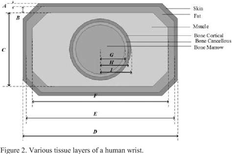 Figure 2 From Broadband Slot Antenna Design For On Body Uhf Rfid