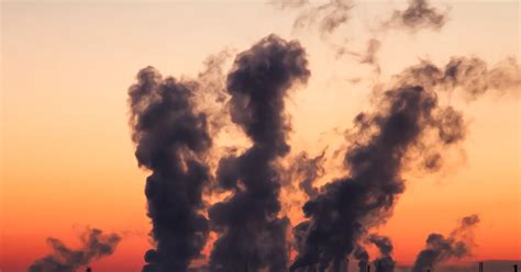 Emergency Air Quality Measures Activated In Haryana As Ncr Pollution Soars