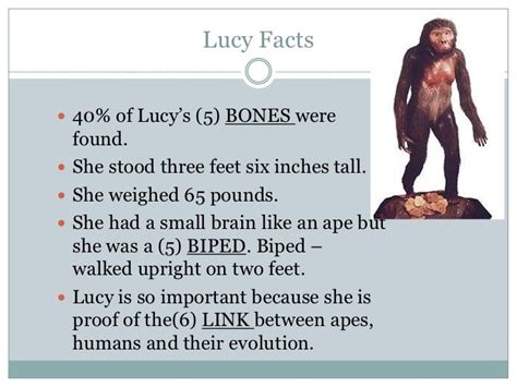 Lucy Presentation