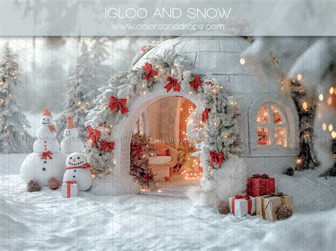 Igloo And Snow 2025