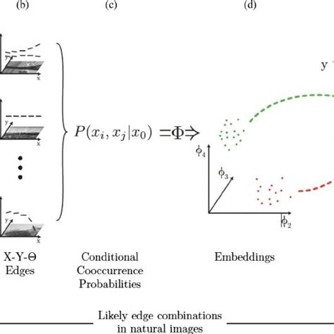 Columnar Organization Of Visual Cortex A A Group Of Cells Selective Download Scientific