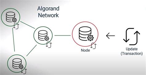Algorand For Software Architects And Net Developers — Part 2 — What Is