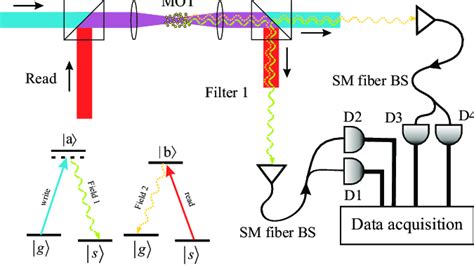 Experimental Setup Write And Read Pulses Propagate Sequentially Into A
