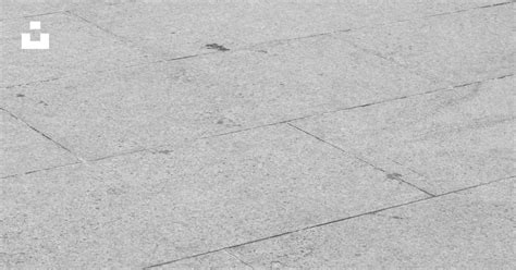 회색 콘크리트 바닥에 회색과 검은 색 새 무리 사진 Unsplash의 무료 회색 이미지