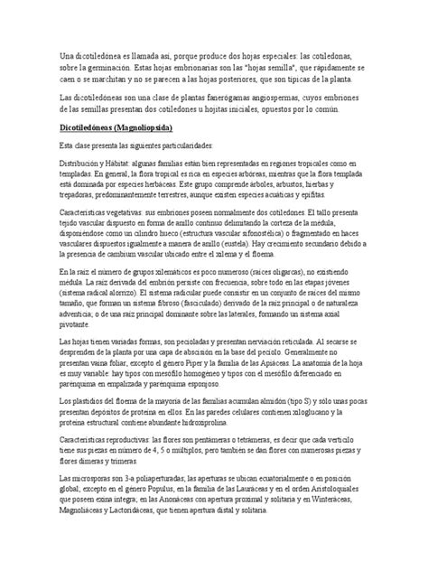 Clase Dicotiledoneas Descargar Gratis Pdf Raíz Hoja