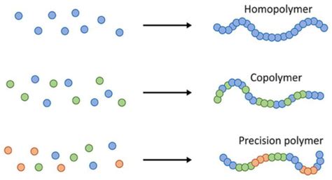 Natural Polymers And Cosmeceuticals For A Healthy And Circular Life