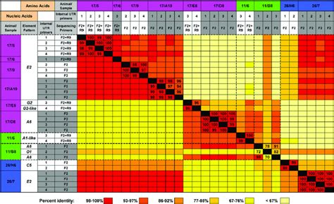 Most Single Cell Samples Contain Sp185333 Cdnas Of A Single Sequence