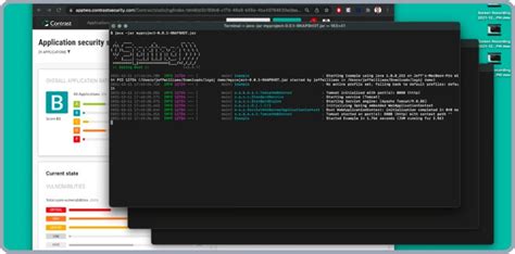 Contrast Security Reviews 2026 Details Pricing And Features G2