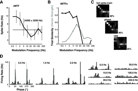 Example Modulation Transfer Function MTF Derived From The Same Neuron Download Scientific