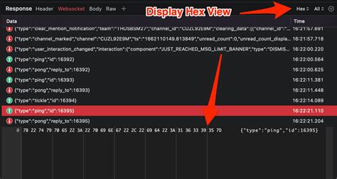 support hex view on the websocket message viewer · issue 1346