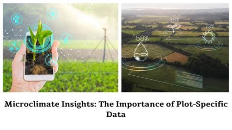 Microclimate Insights The Importance Of Plot Specific Data In