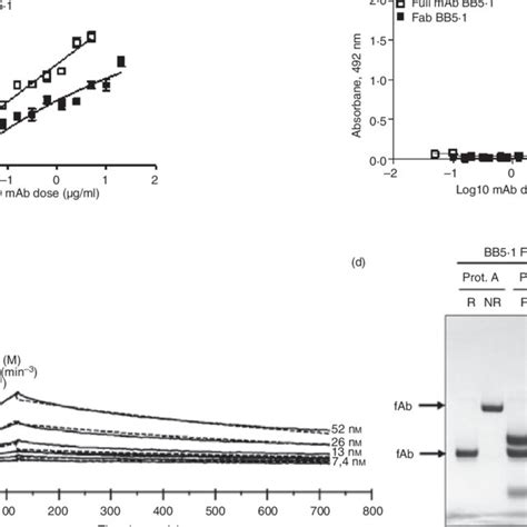 Complementarity Determining Region Cdr Sequencing Of Bb51 The Download Scientific Diagram