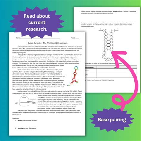 Rna World Hypothesis Quick Curiosity Article By Anyone Can Science