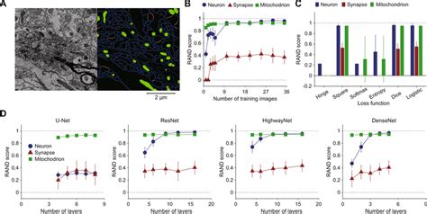 Performance Survey In 2d Cnn Based Segmentation Of Neurons Synapses Download Scientific