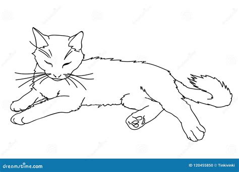 Cat Lying Down Drawing