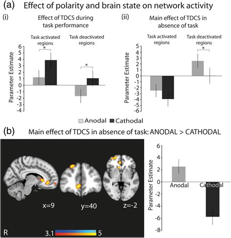 An Interaction Between Polarity And Brain State On Network Activation Download Scientific