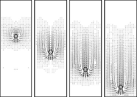 Particle Position And Fluid Velocity Vector Field When A Single Download Scientific Diagram