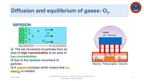 Lecture 9 2023 Respiratory Physiology Transport Of Oxygen I Pdf
