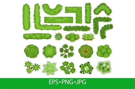 Top View Trees Plants Garden Bushes Graphic By Frogella Stock Creative Fabrica