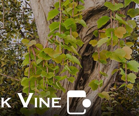 Artstation Quick Vine Blender Geometry Node Resources