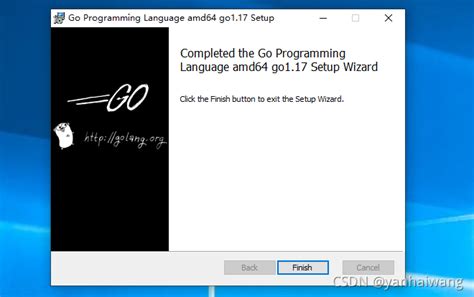 Win10golang117beego V2vs Code开发环境配置vscode配置beego Csdn博客