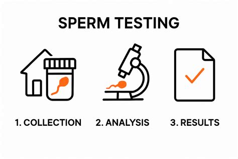 Laboratory Sperm Testing Vasectomy Results And Fertility In 2025