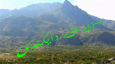 بهترین های دایکندی