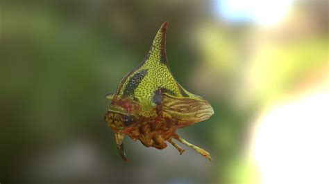 Thorn Bug 3d Model By Libraries Of Life Explormorlabs 51620c7