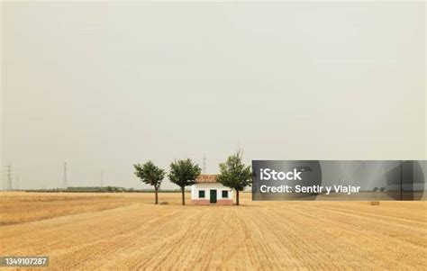 여름에스페인 카스티야 라 만차의 들판에 있는 작은 건물과 나무들이 맑은 하늘을 배경으로 0명에 대한 스톡 사진 및 기타 이미지 Istock