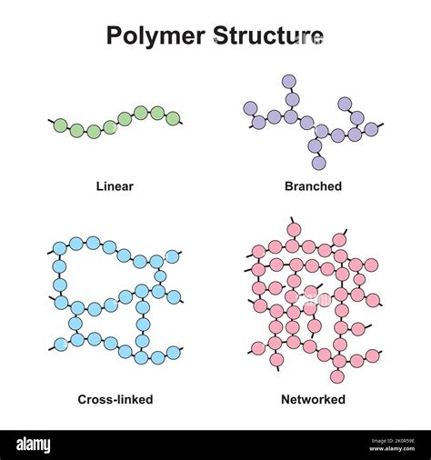 Molecular Structure Of 8 Main Polymer Structures For
