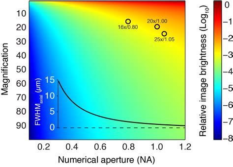 Axial Resolution And Numerical Aperture Part Ii Labrigger