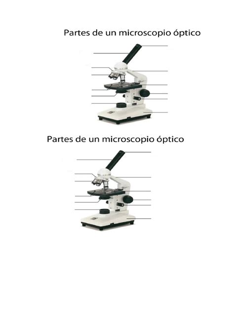 Partes De Un Microscopio Óptico Pdf