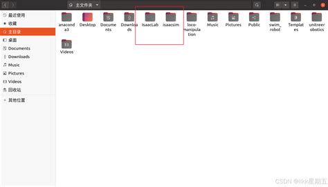 Ubuntu20 04安装isaac Sim Isaac Lab Dtcms