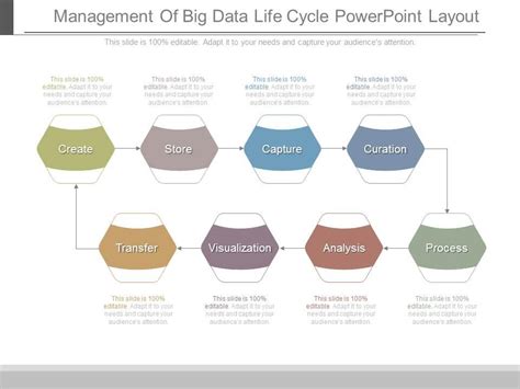 Management Of Big Data Life Cycle Powerpoint Layout Powerpoint