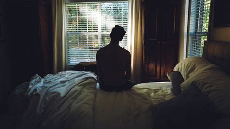 Sex Differences In Schizophrenia And Bipolar Disorder Technology Networks