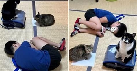 자고있는 아들 곁에서 지켜주는 고양이 사진 속 숨겨진 진실