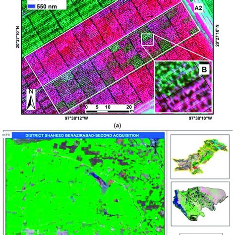 Pdf Estimation Of Maize Zea Mays L Yield Per Harvest Area Appropriate Methods