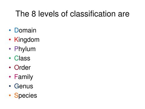 Ppt Exploring Taxonomy Understanding The Classification Of Living