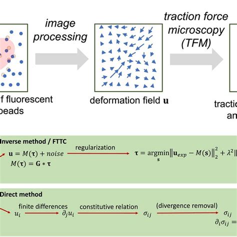 general overview of traction force microscopy a by determining with