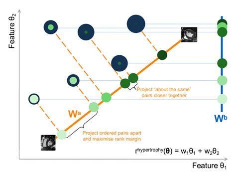 7 ranking function estimation in a synthetic 2 dimensional feature