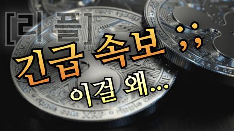 20분전 리플 긴급 속보 이걸 왜 Youtube